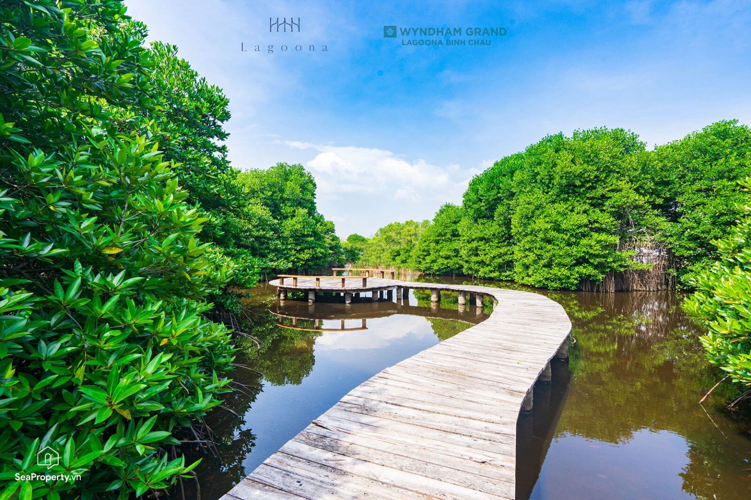 Lagoona Bình Châu ẩn mình giữa rừng đước trăm tuổi quý hiếm